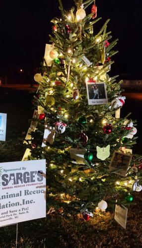 Shelton House Tinsel Trail glows brightly with community-sponsored ...