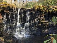 Remembering George W. Vanderbilt’s Buck Spring Lodge: More Memories ...