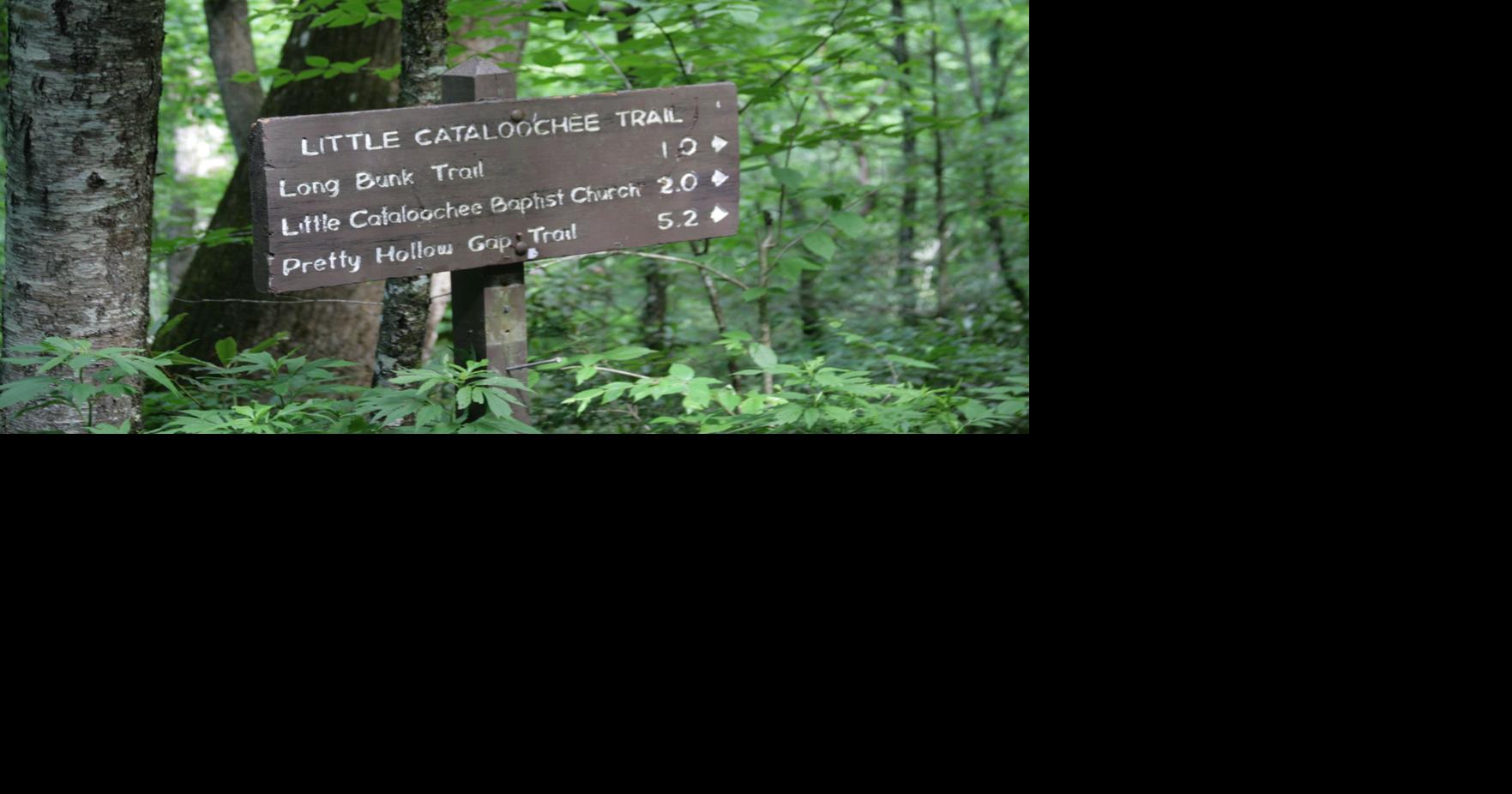 Lend a hand for Little Cataloochee Trail | Outdoors | themountaineer.com