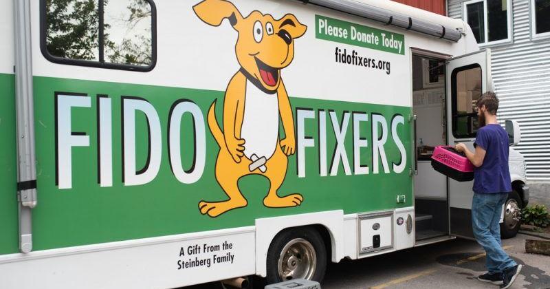 Fido Fixers coming to Haywood County for spay/neuter services | Life ...