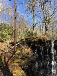 Remembering George W. Vanderbilt’s Buck Spring Lodge: More Memories ...