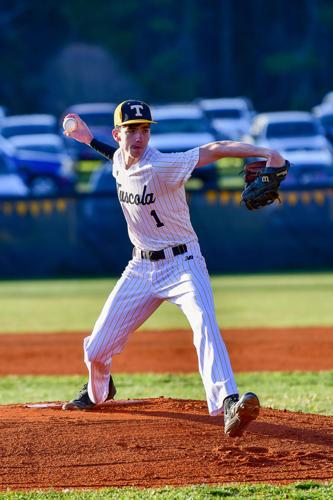 Tuscola's Penland, Stepp sign with USC Union baseball | Sports ...