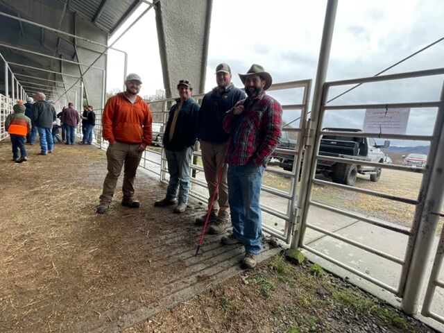 It's a bull market for cattle farmers at the WNC Livestock Center ...