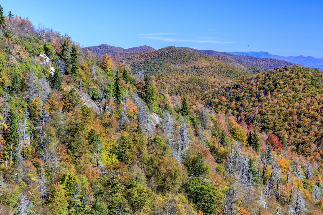 Shining Rock area of Pisgah National Forest now open | Outdoors ...
