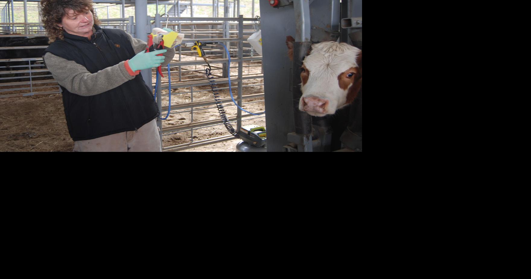 Women from across the region learn the ins and outs of handling ...