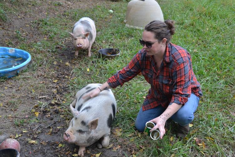 New animal rescue takes in the misfits | Life | themountaineer.com