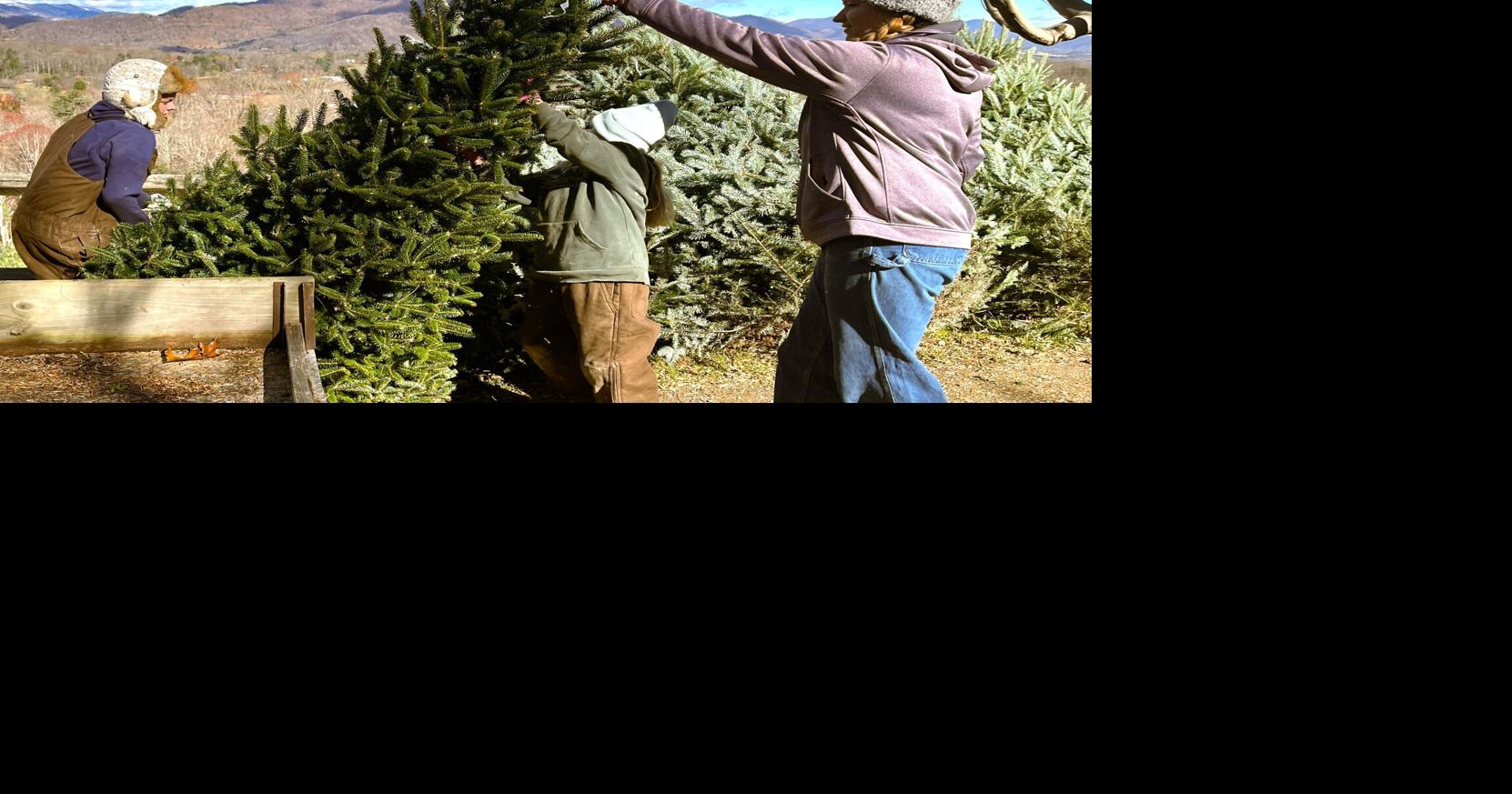 Growing a legacy: Nesbitt tree farm built on family bonds passes to ...