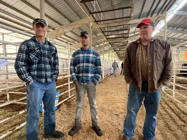 It's a bull market for cattle farmers at the WNC Livestock Center ...
