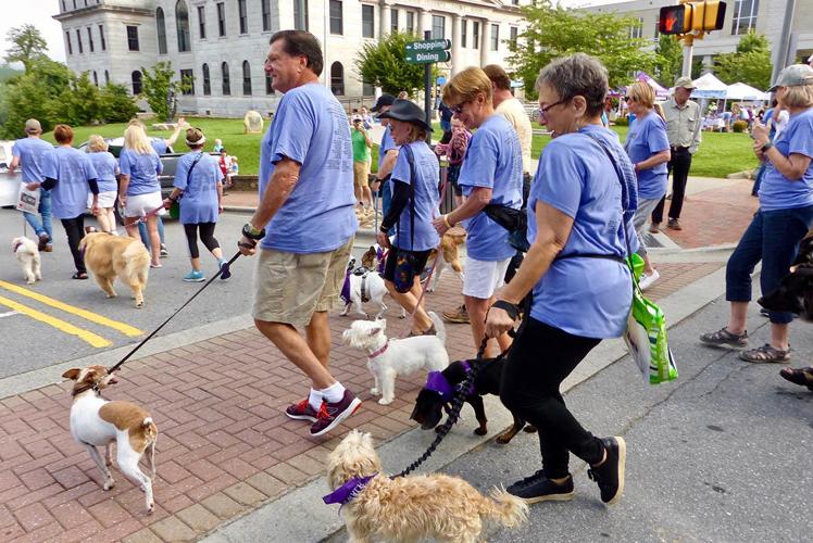 Sarge's 14th Annual Dog Walk | Clubs / Non-Profits | themountaineer.com