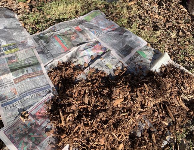 Newspapers are great for a mulching material | Life | themountaineer.com