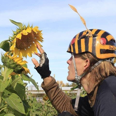 New book 'Bee the Change' explores pollinator protection | Outdoors ...