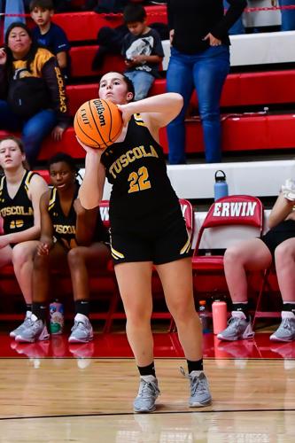 PHOTO GALLERY: Tuscola girls basketball vs. Erwin | Sports ...