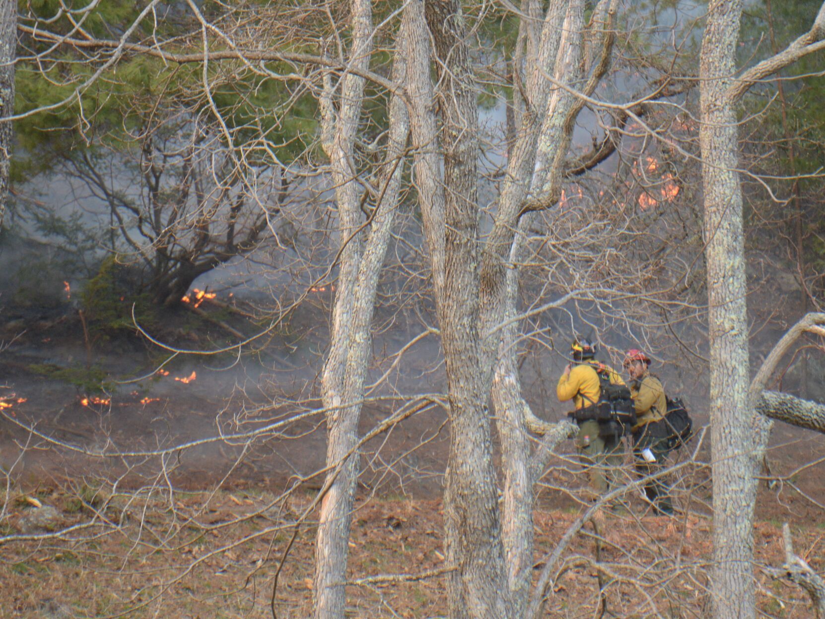 Rattlesnake Branch Fire tops 800 acres | News | themountaineer.com