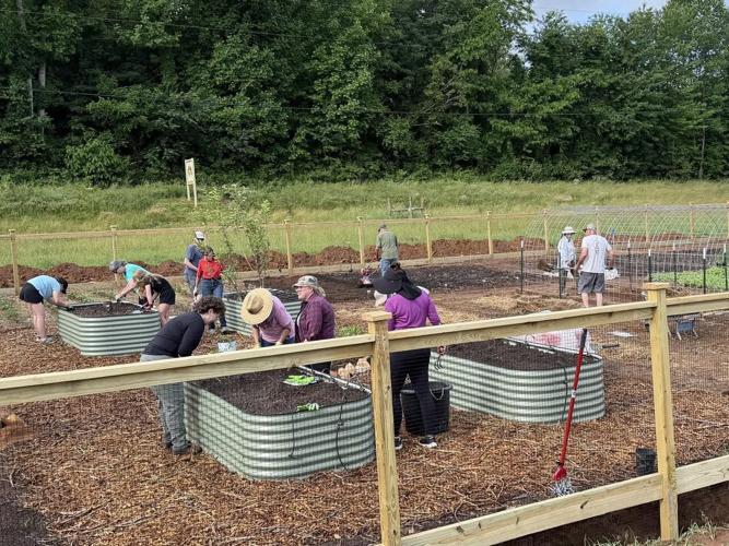 New community garden inspires hope | News | themountaineer.com