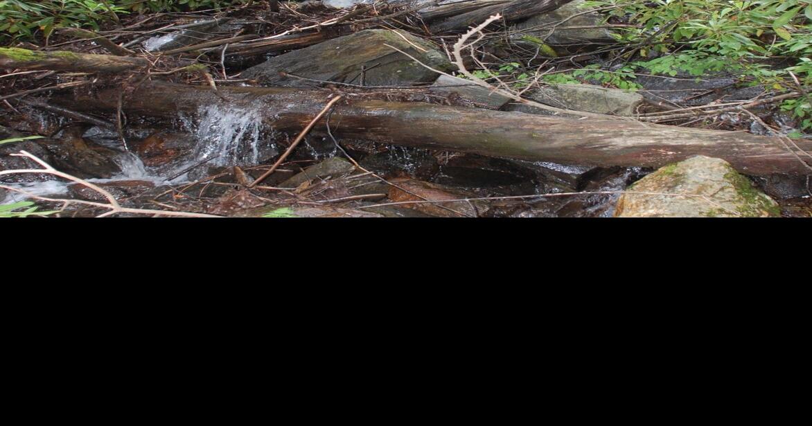 Maggie Valley waterfall saga continues: property headed to auction for ...