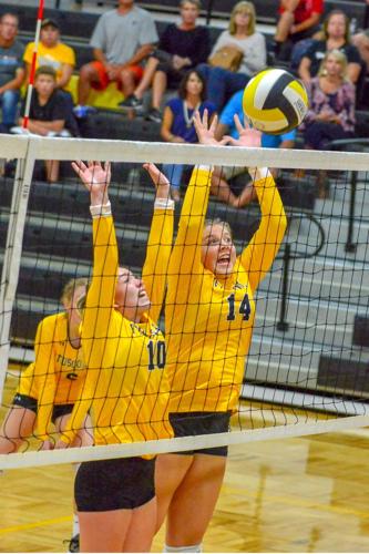 Volleyball: Hendersonville 3, Tuscola 2 | Sports | themountaineer.com