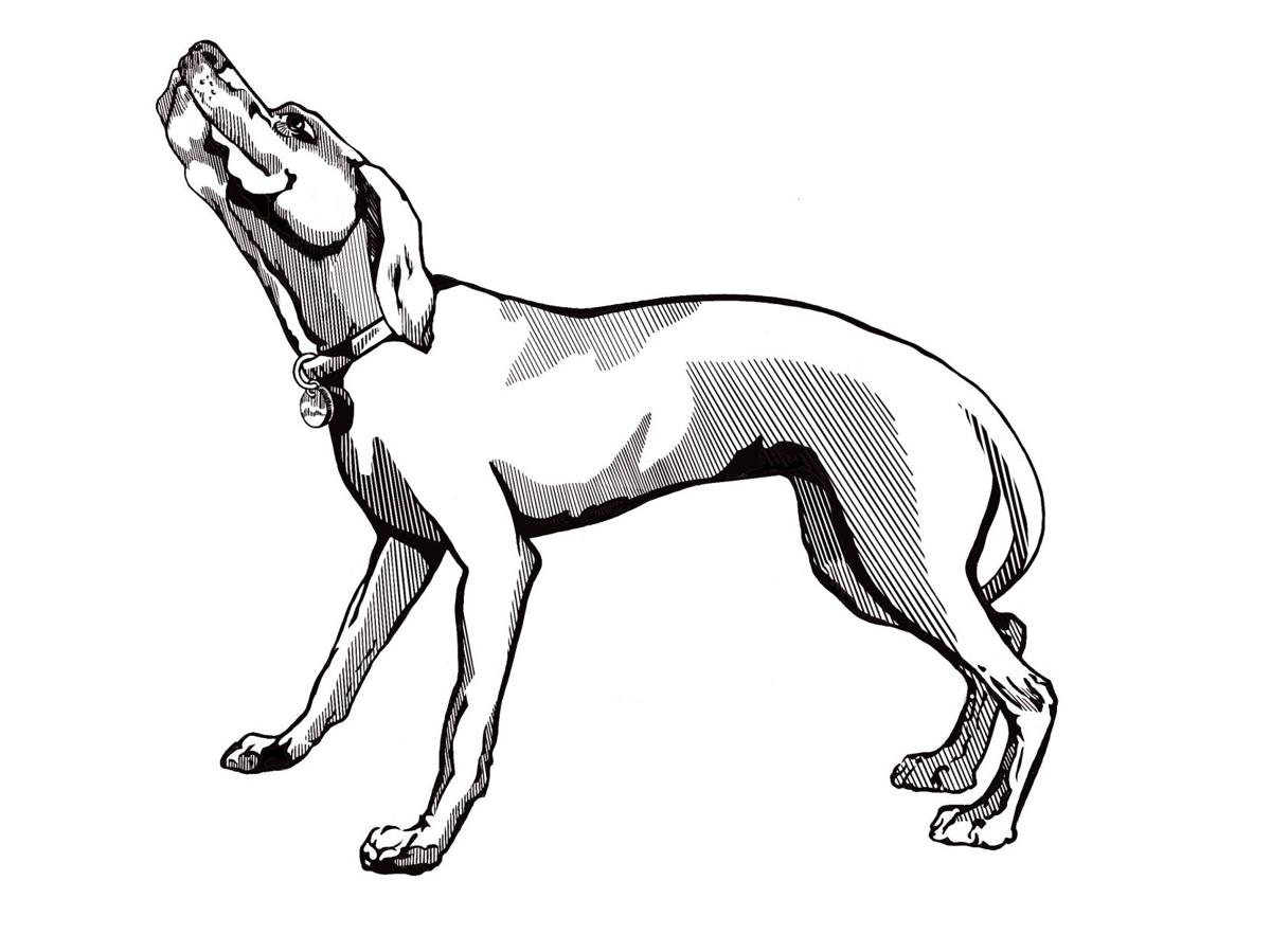 'The Plott Hound' public art dedication is Nov. 12 | Communities ...