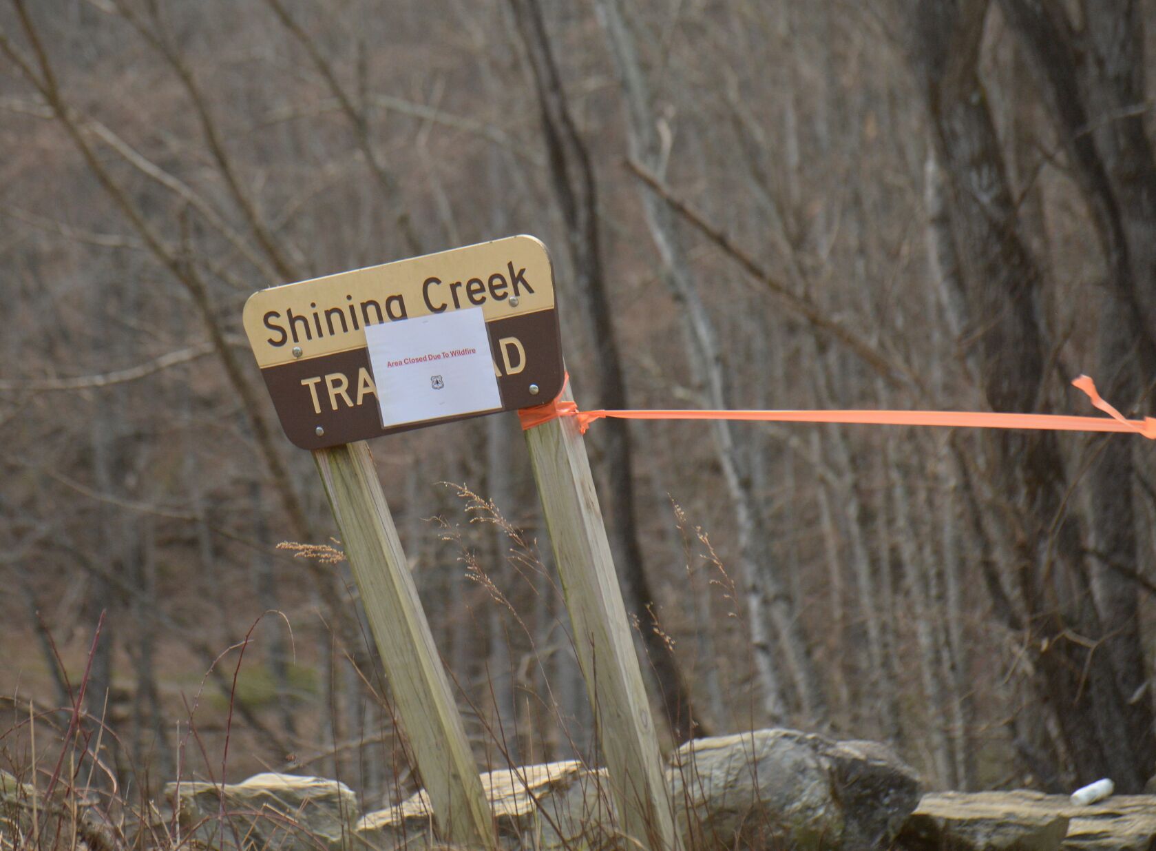 Shining Rock Wilderness open to visitors following fire | News ...