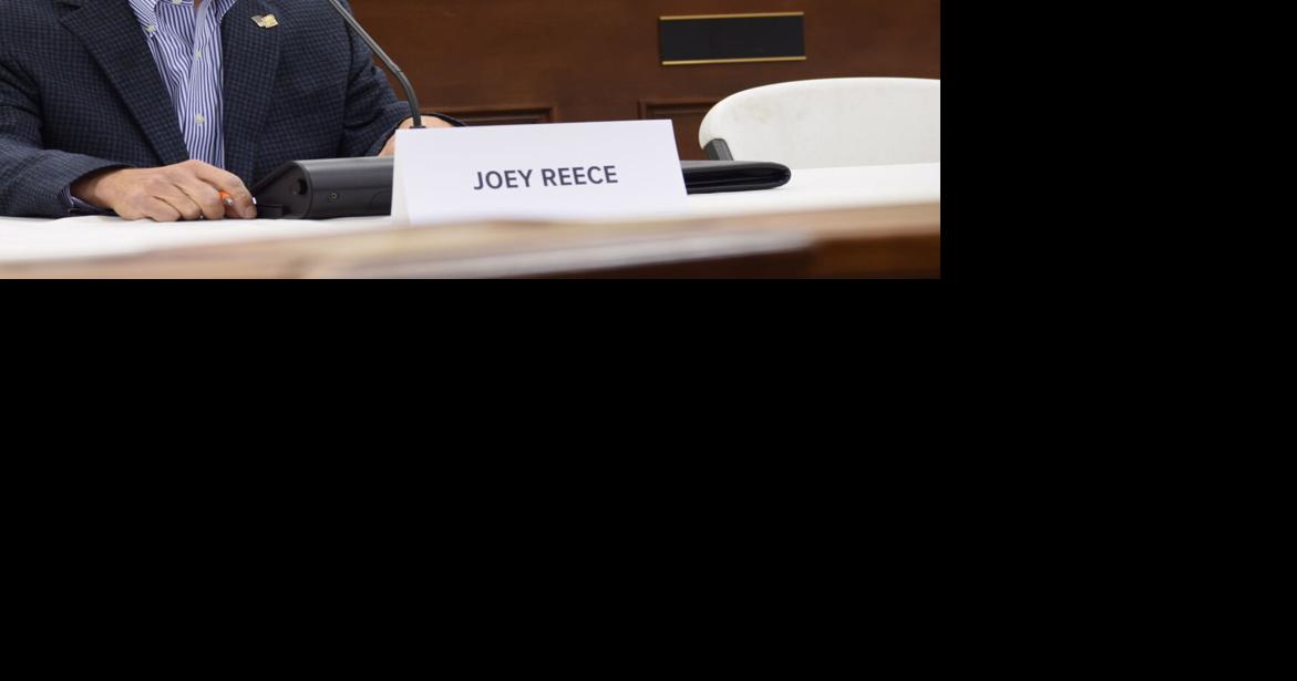 Waynesville mayor candidates make their case | News | themountaineer.com