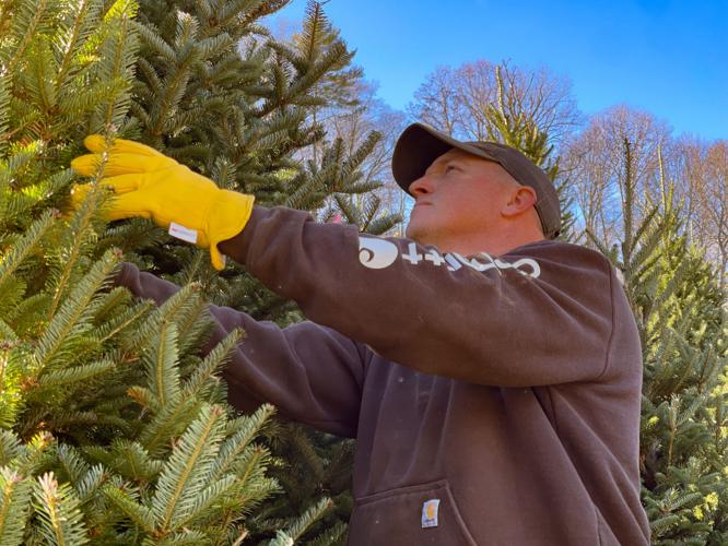 Growing a legacy: Nesbitt tree farm built on family bonds passes to ...