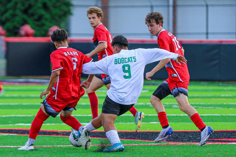 Bears soccer hitting its stride | Sports | themountaineer.com