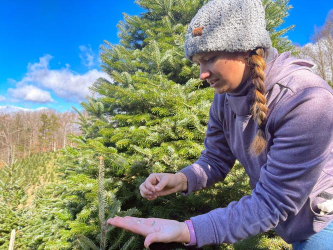 Growing a legacy: Nesbitt tree farm built on family bonds passes to ...