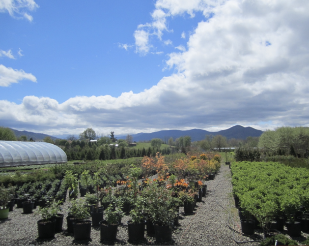 Saving the farm: Haywood farmer featured in national podcast | Outdoors ...