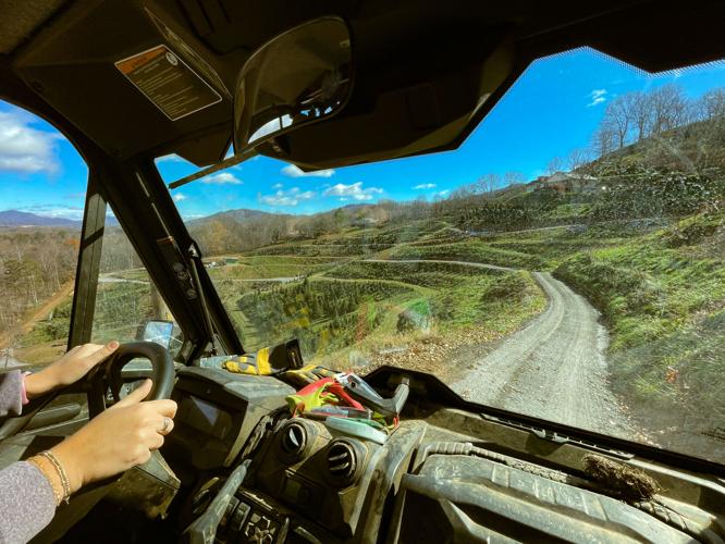 Growing a legacy: Nesbitt tree farm built on family bonds passes to ...