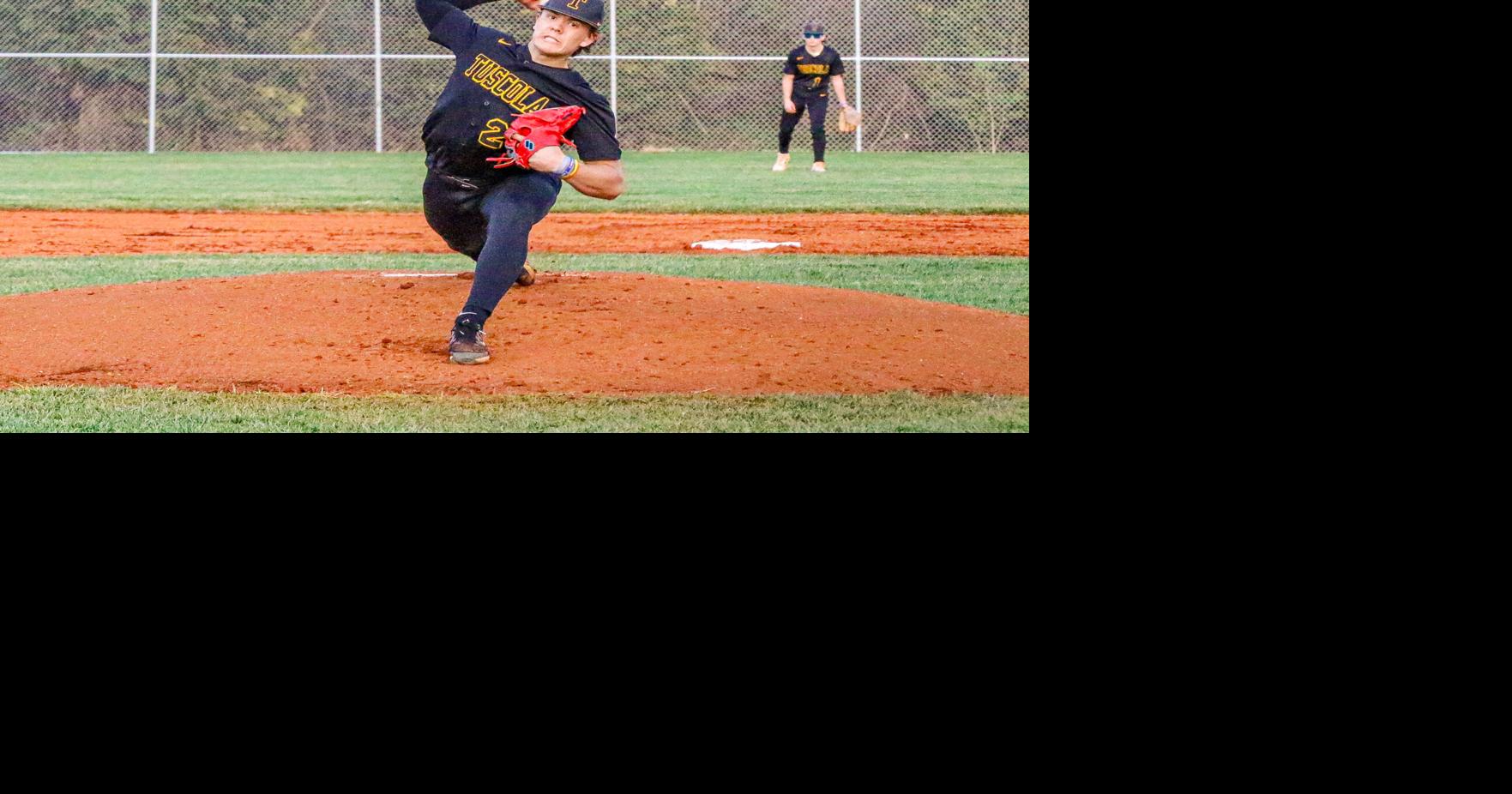 Strong offensive performances highlight All-County baseball team ...