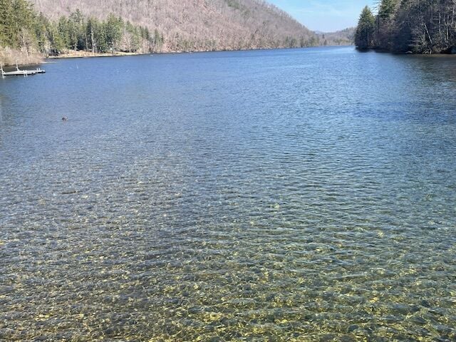 What's the fate of the Lake Logan dam? | News | themountaineer.com