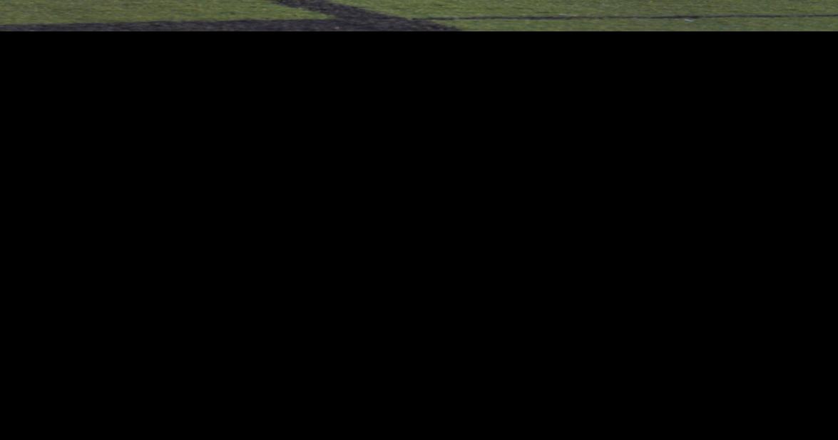 Men's Soccer Bears vs Tuscola 2019 | | themountaineer.com