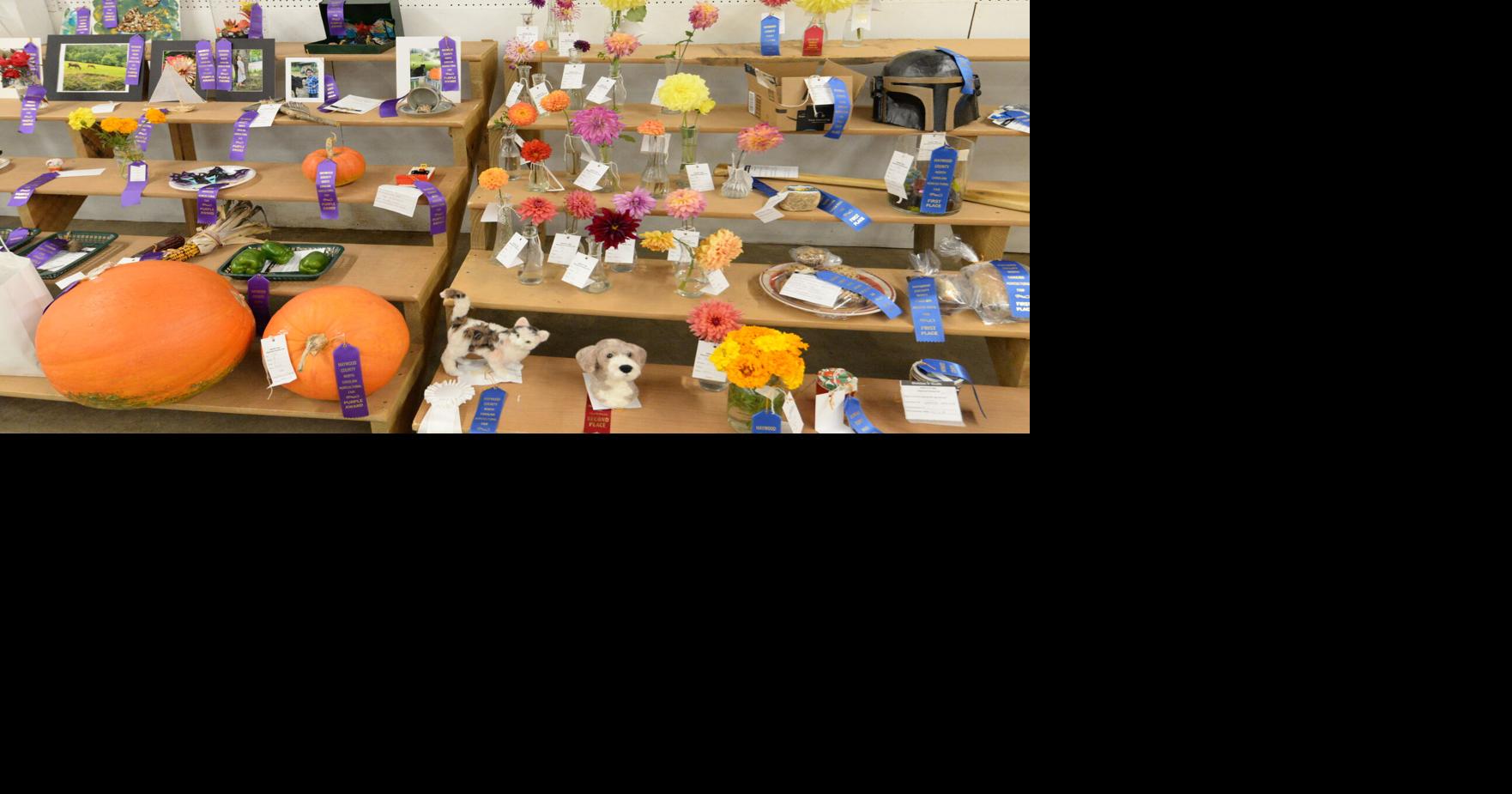 Craft workshops for kids sets stage for Haywood County Fair | Life ...