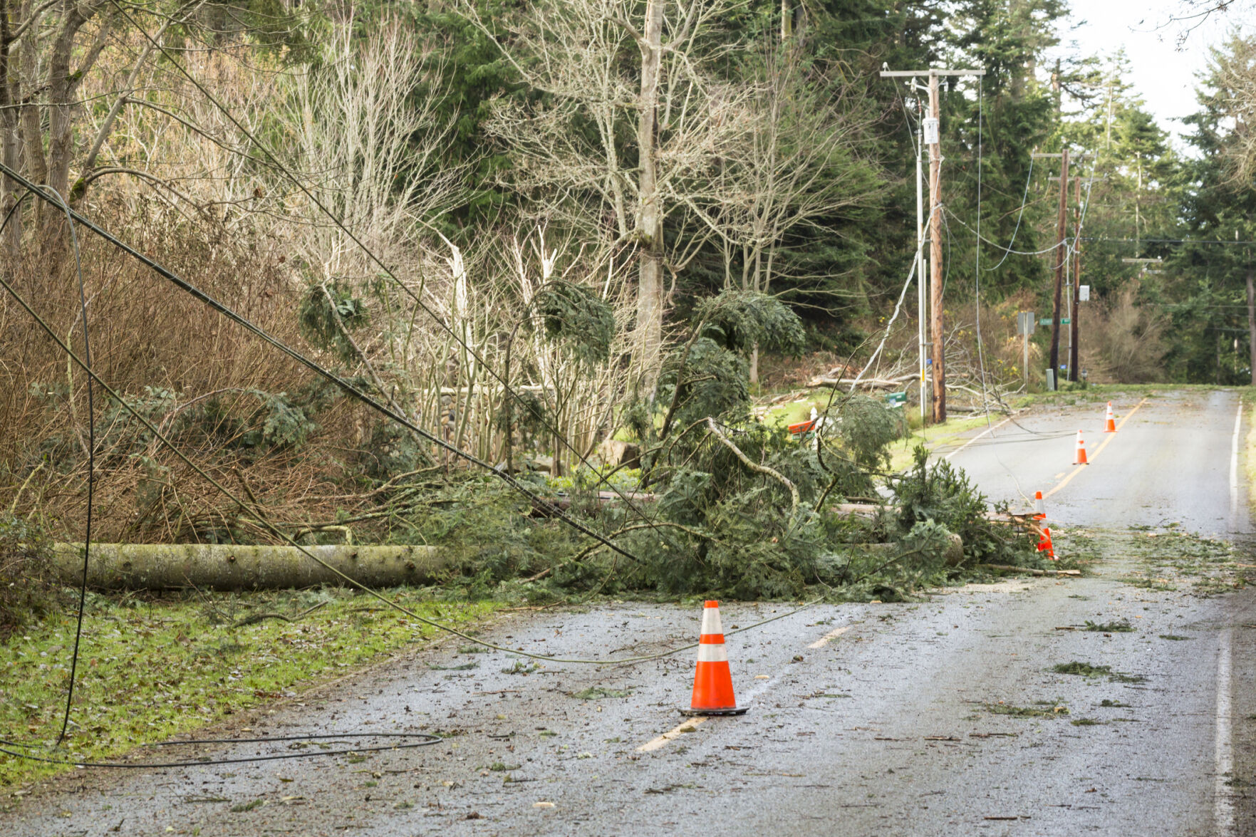 High winds caused widespread power and internet outages in Haywood ...