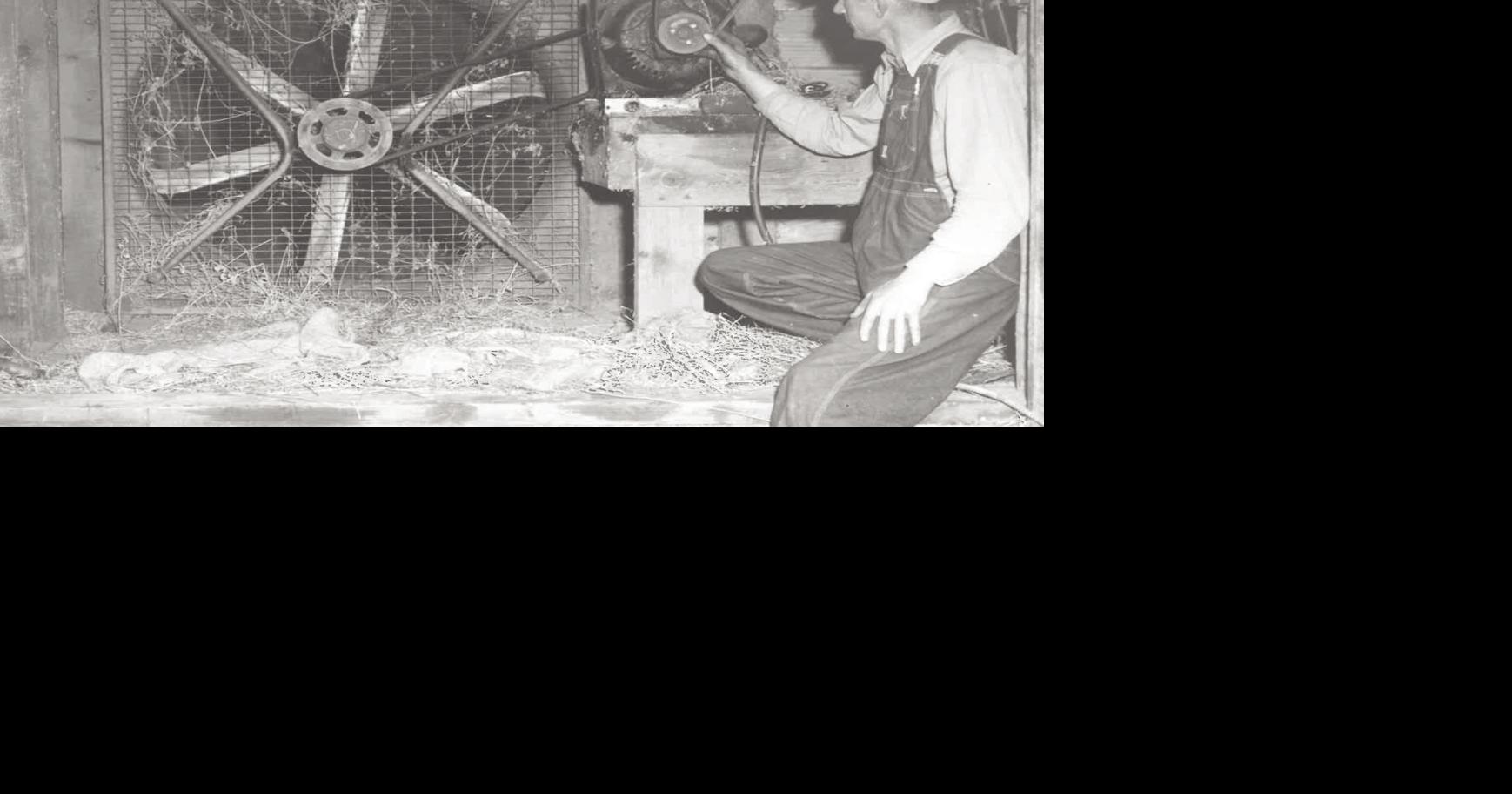 Hydro-electric plant at Waterville | Photo Galleries | themountaineer.com