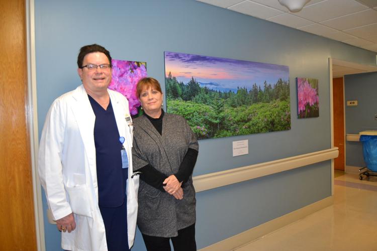 New hospital art is already working as intended | News | themountaineer.com