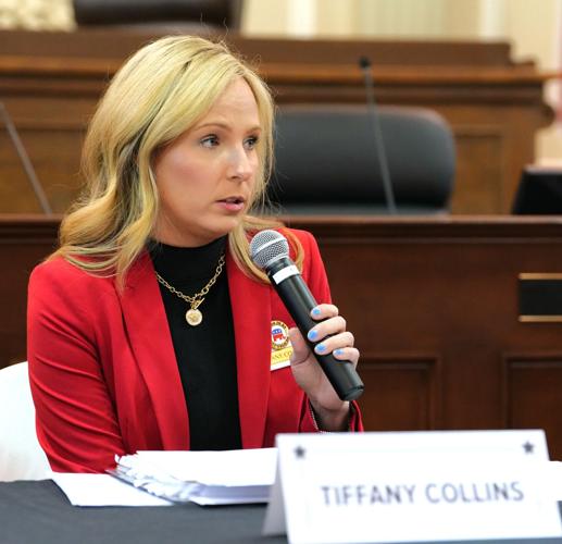 Funding the future: County commissioner candidates talk budget ...