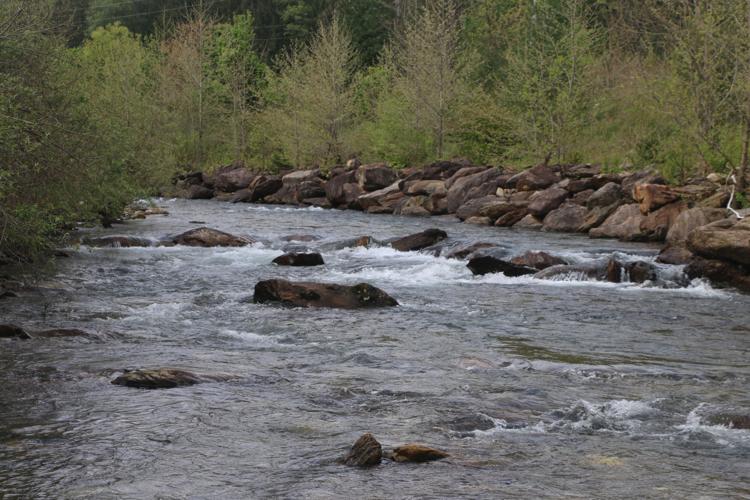 GALLERY: Sunny spring day at Lake Logan | Photo Galleries ...