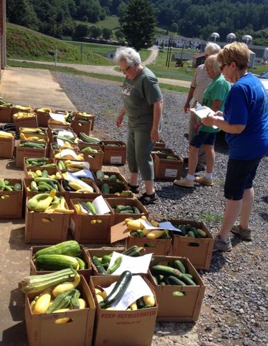 Fresh produce now more plentiful | Life | themountaineer.com