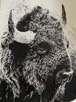 July art exhibit in Waynesville features Eastern Band of Cherokee ...