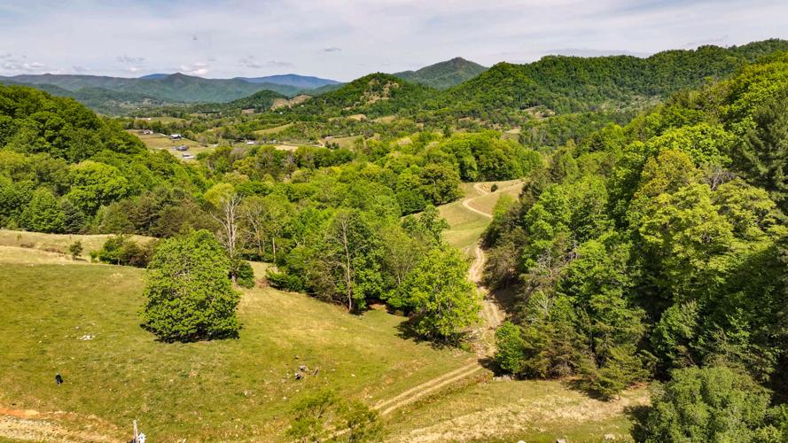 Forever a farm: Family with lineage dating to first Haywood settlers ...