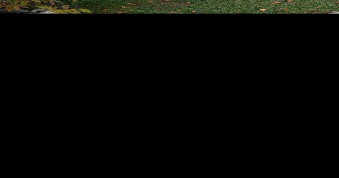 Plemmons to be appointed to Clerk of Court post | News | themountaineer.com