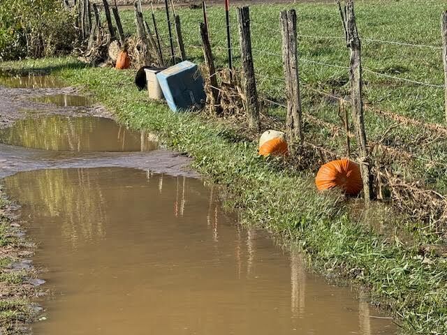 Land lost to flooding poses massive challenge for Haywood farmers ...