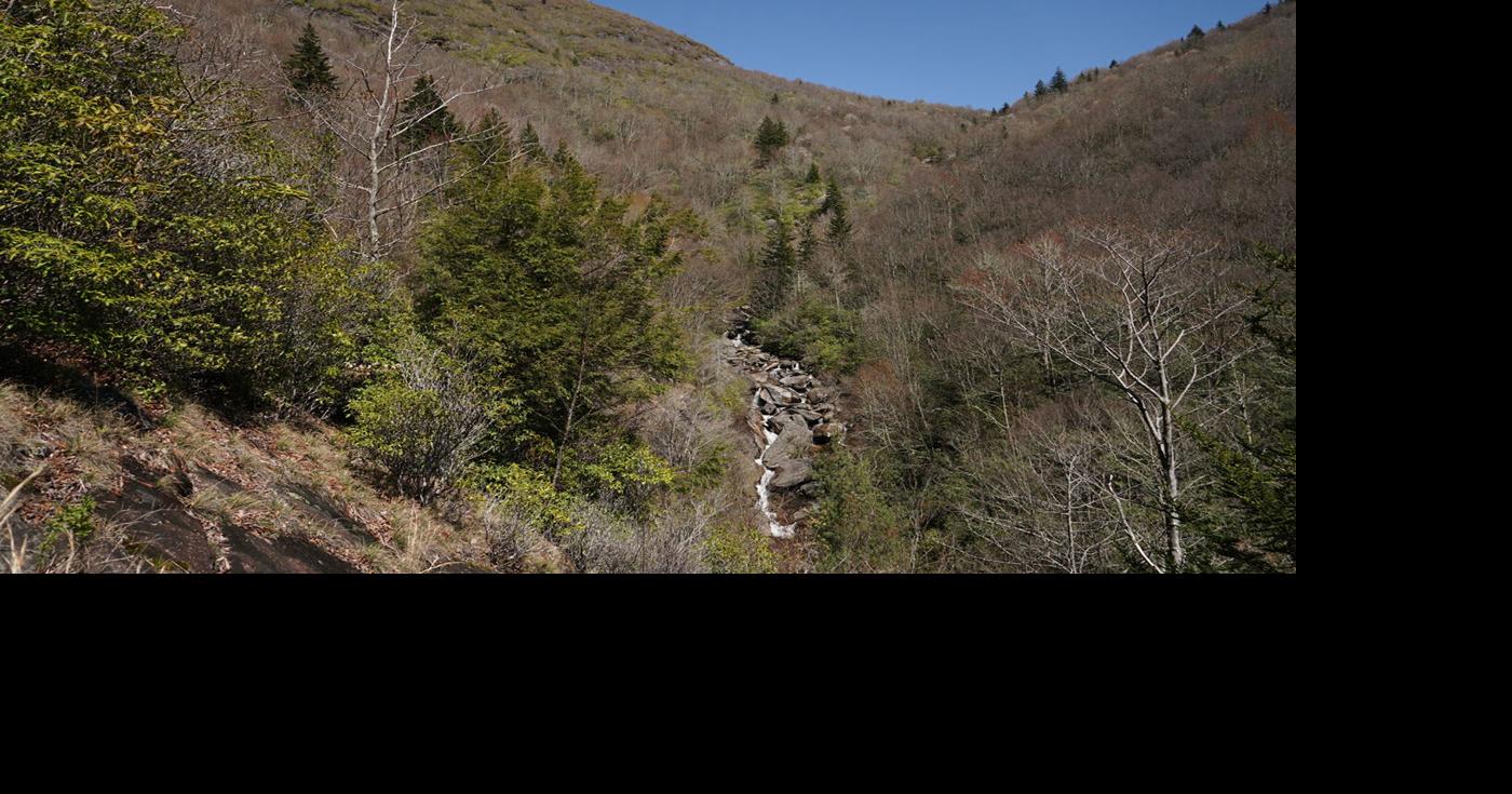 Peep winter birds, upgrade skills, and amble through the woods with ...