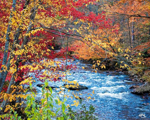 Fall in Haywood County | | themountaineer.com