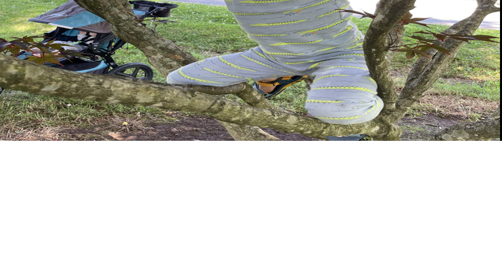 Heartbreak and hope: Super Soren and family rally to battle MD | News ...