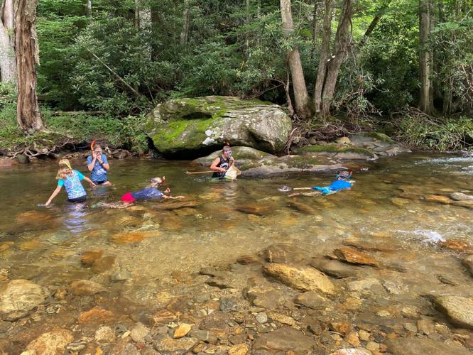 Y.E.S day camp explores outdoors for rising ninth graders | Outdoors ...