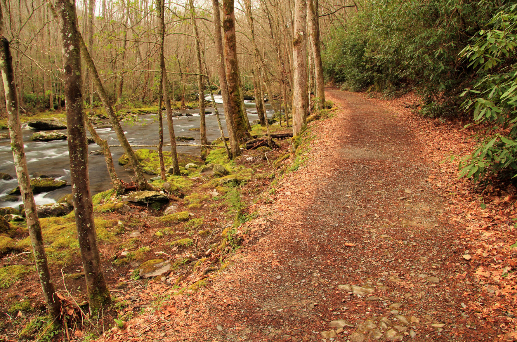 Hit the trail, go birding or learn outdoors skills with Haywood County ...