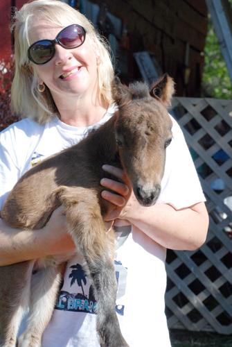 filly react christmas