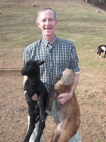 Modern day shepherd Long reflects on 43 years of raising sheep ...