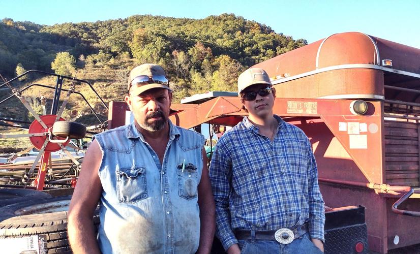 Barns, fields, animals, crops, and dairy among Haywood flood casualties ...